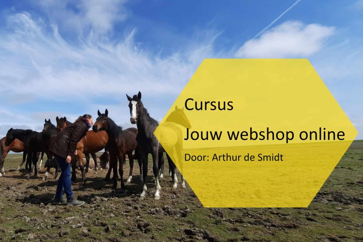 Ontdek jouw nieuwe Online Cursus op Soofos